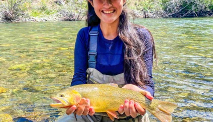 Sun Valley Ketchum Guided fly fishing day trips